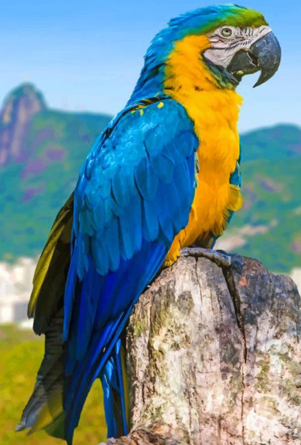 Still Life by Sarah Winman: “rose-coloured spectacles” – Antenna Reviews